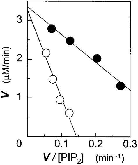 Eddie Hofstee Plot Of Plc 1 Reaction Measured In The Absence And Download Scientific Diagram