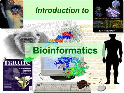 Introduction To Bioinformatics 1 Ppt