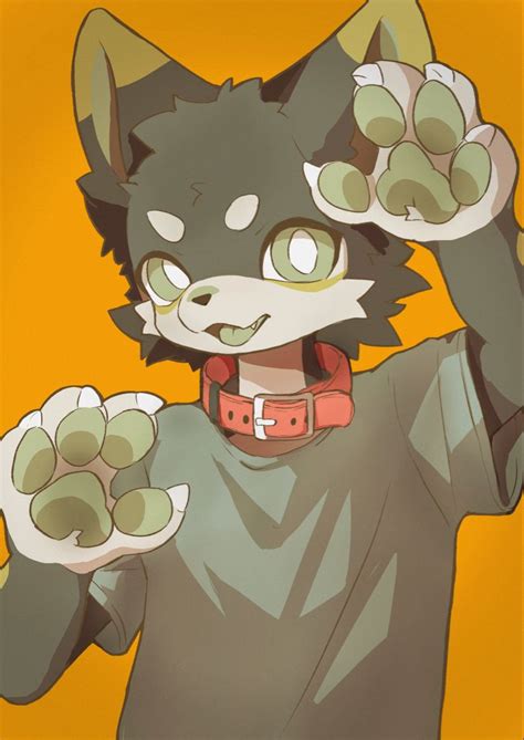 Anime Furry Anime Cat Cute Wolf Drawings Pokemon Cute Raccoon Cutte Hello Kitty Items