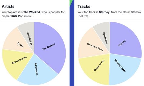 Music Visualization Charts Spotify Pie Chart