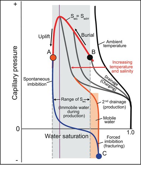 Schematic Diagrams Of A Conceptual Model Download Scientific Diagram