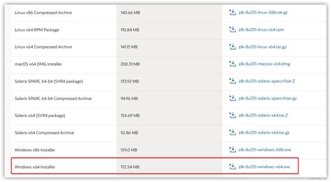 jdk安装与配置（不同版本切换） 本地切换jdk8与21 csdn博客