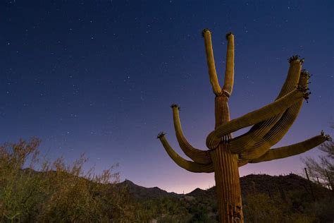 15 Amazing Things To Do In Saguaro National Park Photos