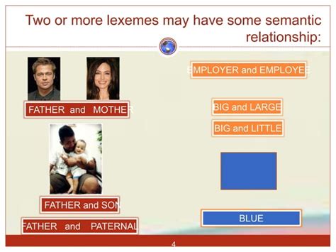 Lexical Relations In Semantic Pptx Genealogy And Ancestry Hobbies And Interests