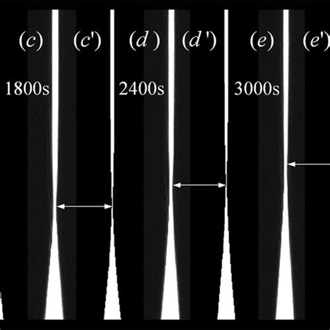 Diffusion Images Recorded Using A Cmos Camera At Different Diffusion Download Scientific