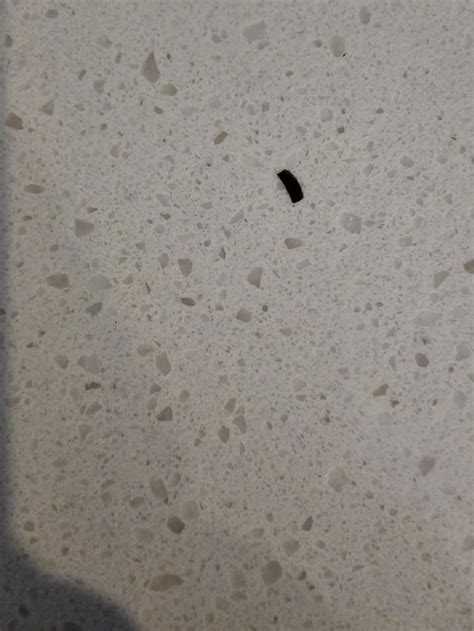 New Construction House Empty Agent Found These Doesnt Even Look