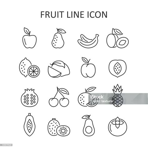 과일 벡터 라인 아이콘 세트입니다 사과 배 체리 바나나 파인애플 레몬 오렌지 자두의 평면 기호 벡터 그림입니다 망고에 대한 스톡