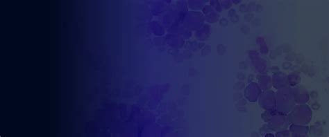 Cell Cytotoxicity Assay Cell Toxicity Assay Northeast Biolab