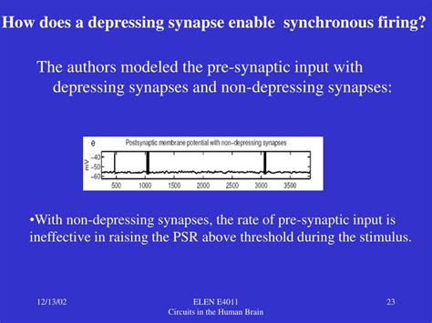ppt modeling depressing synapses powerpoint presentation free