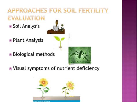 Soil fertility evaluation and fertilizer recommendation | PPTX