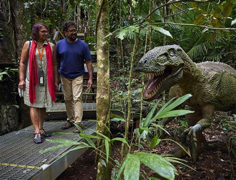Jurassic Forest Daintree Rainforest