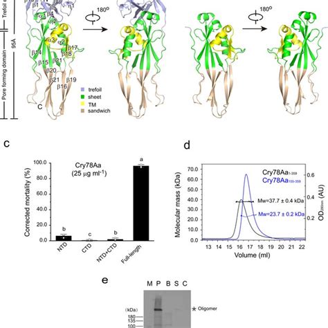 Jie Zhang Professor Doctor Of Philosophy University Of Science And Technology Of China