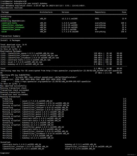 在openeuler中，使用kubekey一键安装kubesphere config sample yaml csdn博客