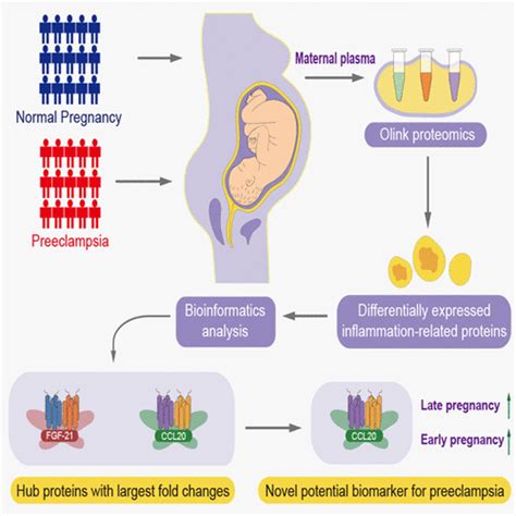 Plasma Olink Proteomics Identifies Ccl20 As A Novel Predictive And