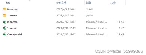 Dsmil论文代码复现，dual Stream Multiple Instance Learning Network For Whole