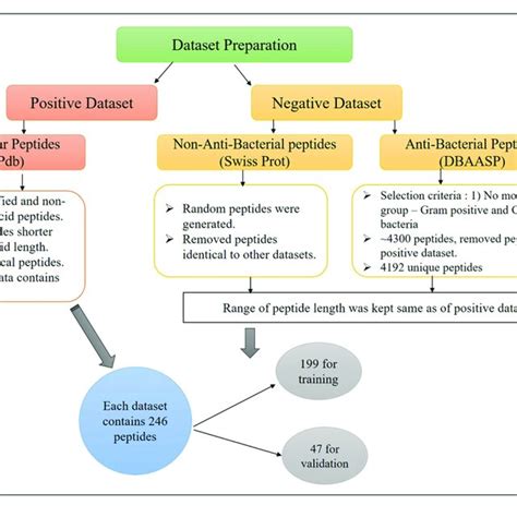 The Construction Of Positive And Negative Dataset To Develop Machine Download Scientific