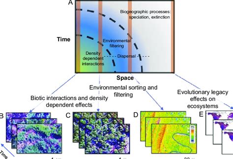Spatial Scales Biology At Dorothy Boots Blog