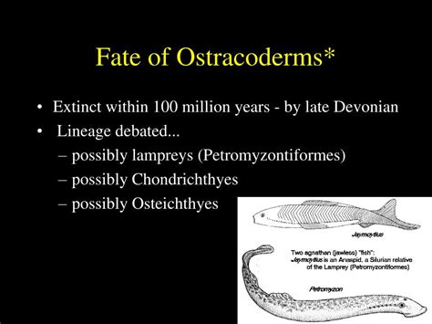 Ppt Fish History And Classification Powerpoint Presentation Free Download Id1467454 Ppt Fish History And Classification Powerpoint Presentation Free Download Id1467454