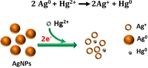 Figure 7 From A Highly Selective Hg2 Colorimetric Sensor And Antimicrobial Agent Based On Green