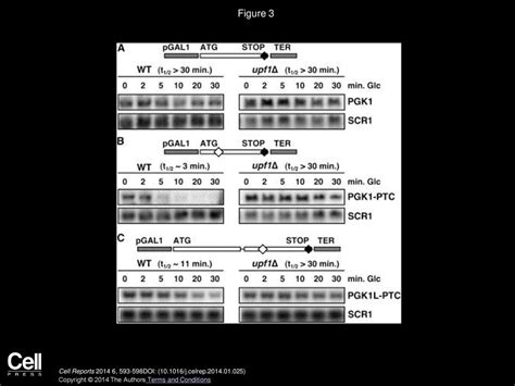 Volume 6 Issue 4 Pages February 2014 Ppt Download