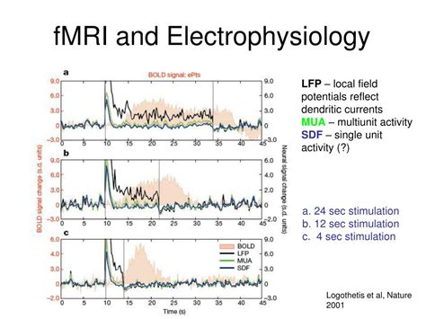 Ppt Statistical Parametric Mapping Powerpoint Presentation Free Download Id 3713605