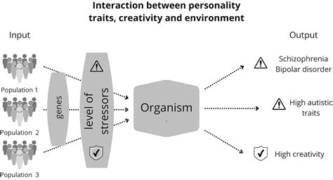 Frontiers The Sexual Selection Of Creativity A Nomological Approach