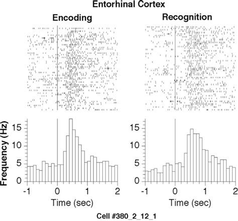 Figure 3 From Responses Of Neurons In The Medial Temporal Lobe During Encoding And Recognition