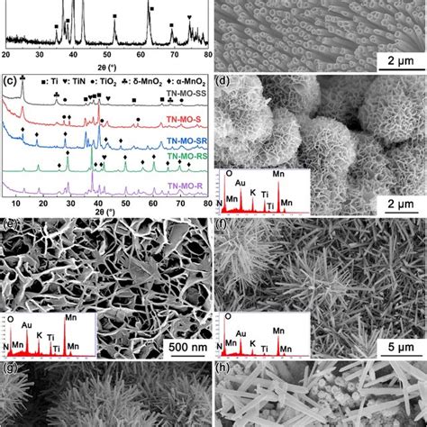 Xrd Pattern A And Sem Image B Of Tnnm Xrd Patterns C And Sem