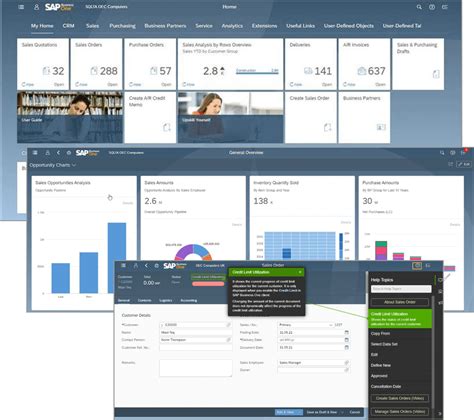 sap business one sap business one roadmap timing