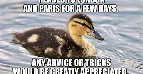 Any Advice Is Appreciated Album On Imgur