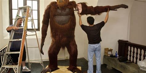 Gigantopithecus Vs Bigfoot Gigantopithecus Vs Bigfoot