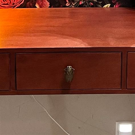 Insect Drawer Knobs In Brass Cicada Cabinet Knobs Insect Dresser Knobs In Brass Entomology