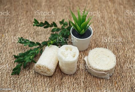 제로 폐기물 스폰지의 다른 유형 지속 가능한 라이프 스타일 개념 0명에 대한 스톡 사진 및 기타 이미지 0명 개성 개념 개인 장식품 Istock