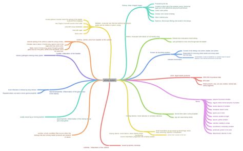 Urinary System Terms Polyuria Excessive Urination Oliguria Below