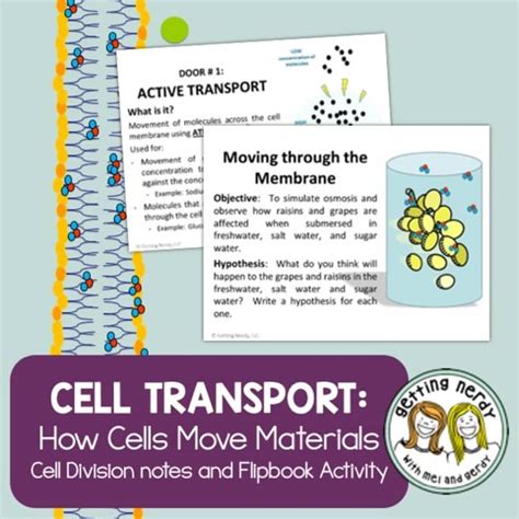 Cells Cell Processes Passive Transport Osmosis And Diffusion Notes