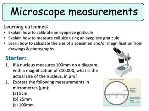 New 2016 Aqa As Level Biology Microscope Measurements Teaching Resources