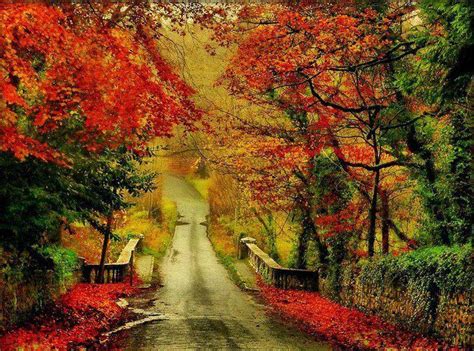 Redmond Wa Fall Bing Autumn In Ireland Pictures Autumn Scenery