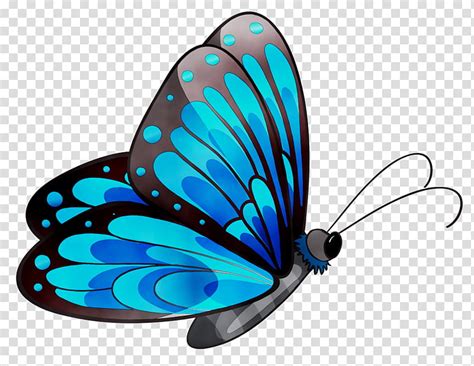 Butterfly Silhouette Morpho Amathonte Glasswing Butterfly Menelaus