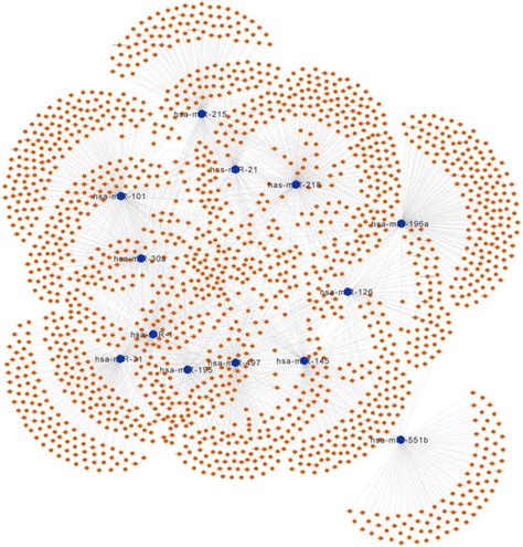 Regulatory Network Of The Predicted Genes And Their Target Mirnas Download Scientific Diagram