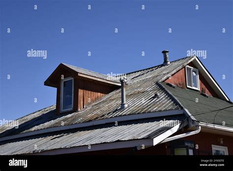 Large Cedar Stump With Grey Texture And Design In Sandy Soil Stock