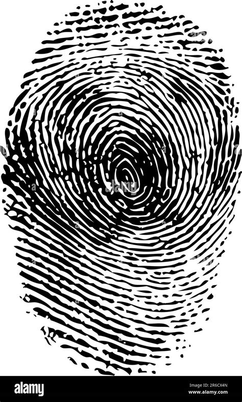 Fingerprint Black On White Vector Illustration Stock Vector Image And Art Alamy