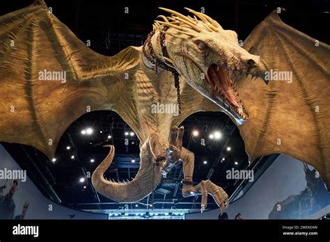 Ironbelly Hi Res Stock Photography And Images Alamy