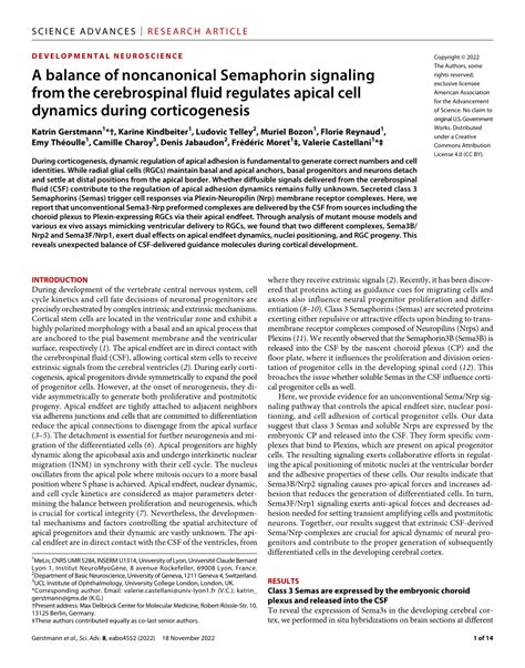 Pdf A Balance Of Noncanonical Semaphorin Signaling From The