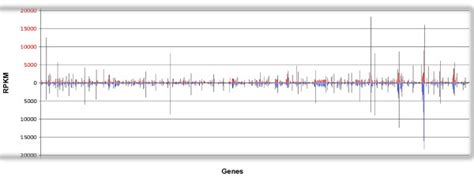 Newly Identified Transcriptionally Active Regions Of The Genome