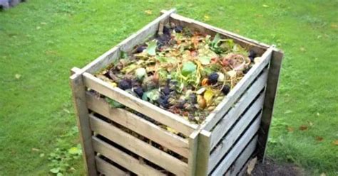30 Best Composting Tips Garden More Sustainably Snappy Living