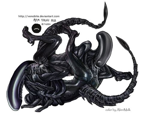Rule 34 2004 Alien Franchise Female Xenomorph No Humans Tagme