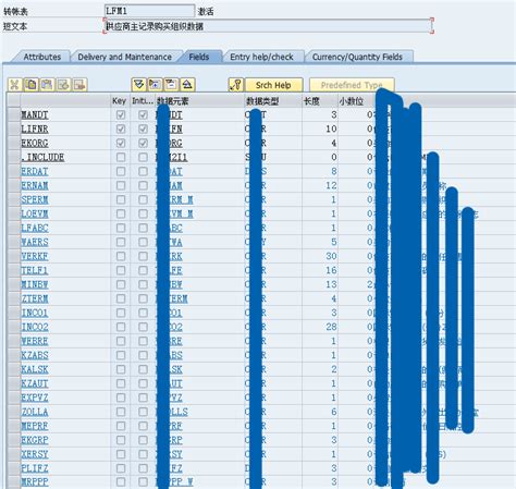 Sap中使用se11读取透明表时，如何设置过滤条件（属性） Sap Se11 Csdn博客