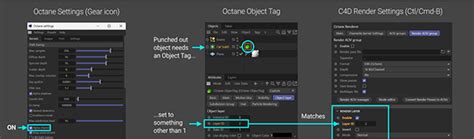 Render Aov Masking Cryptomatte And Render Layer Octane Behance