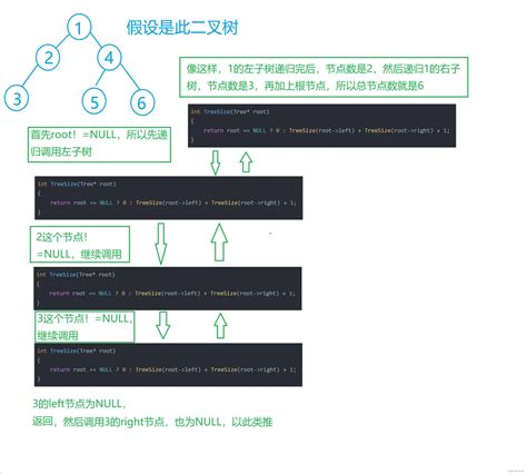 【数据结构与算法】二叉树的深度，节点数，第k层的节点数，遍历，二叉树叶节点的个数 阿里云开发者社区