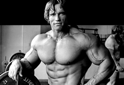 Arnold Schwarzenegger Wallpapers Wallpaper Cave
